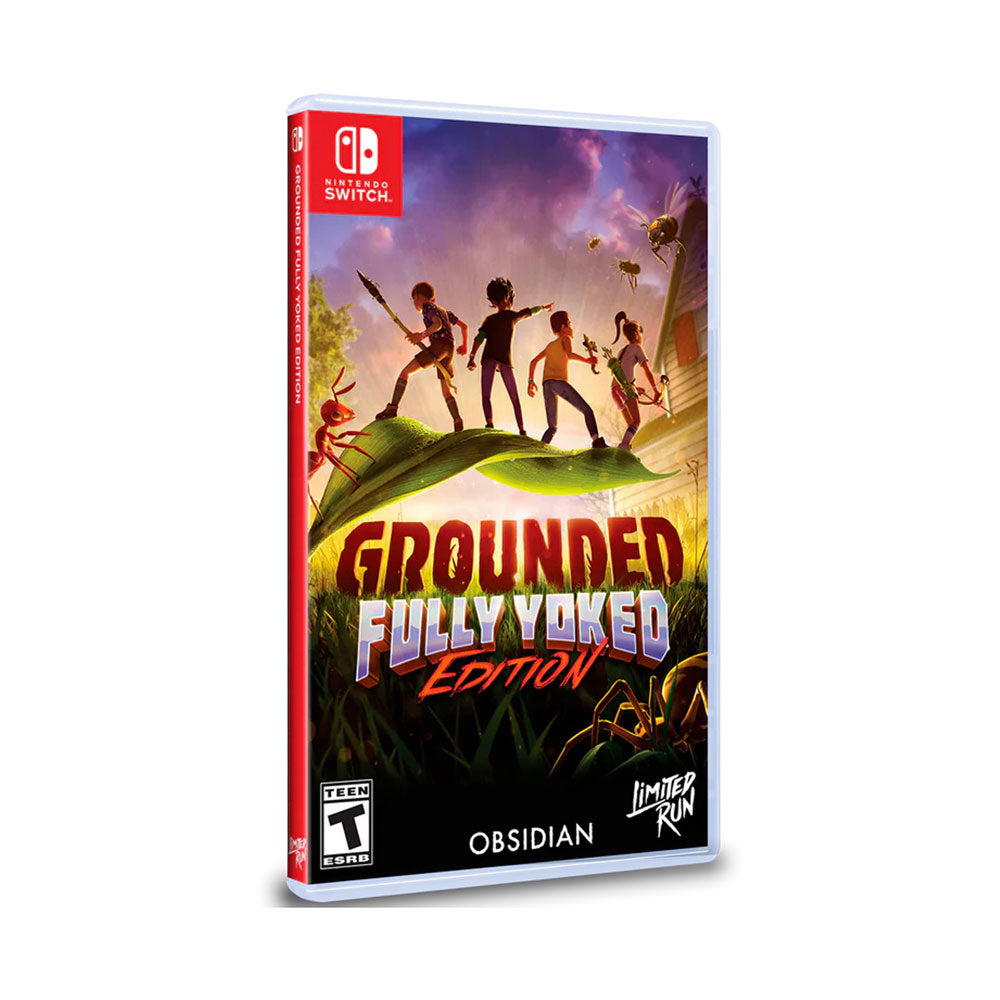 GROUNDED FULLY YOKED EDITION | NSW – The Retro Room